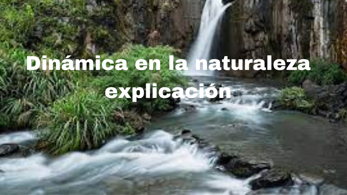 Dinámica en la naturaleza explicación RD..