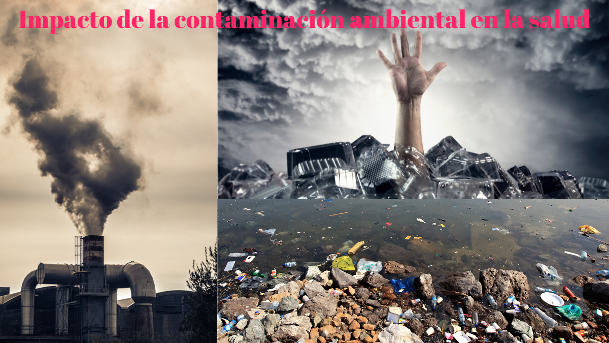 Efectos De La Contaminacion Del Aire En La Salud Humana