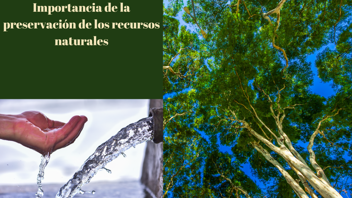 Importancia De La Preservación De Los Recursos Naturales Rd