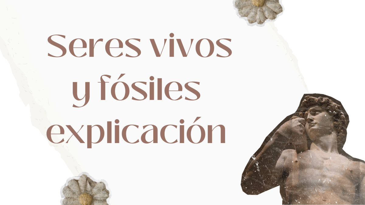 Seres vivos y fósiles explicación RD..
