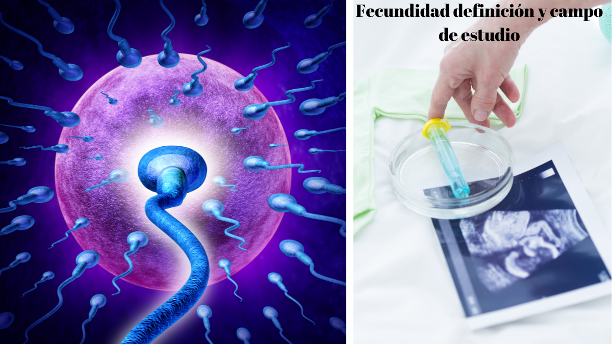 Fecundidad definición y campo de estudio. RD..